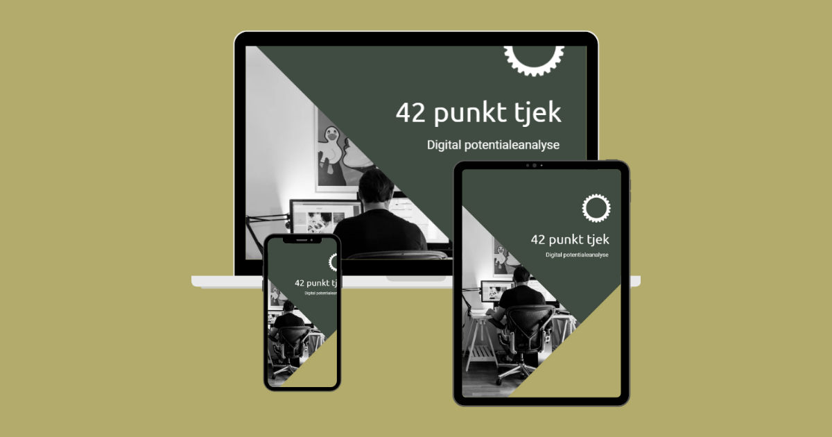 42 punkt tjek - Flex og Co